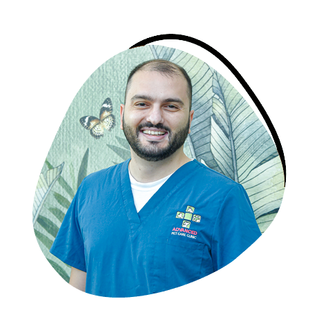 About APCC - Dedicated Veterinary Care in Umm Suqeim