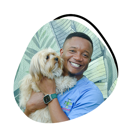 About APCC - Dedicated Veterinary Care in Umm Suqeim