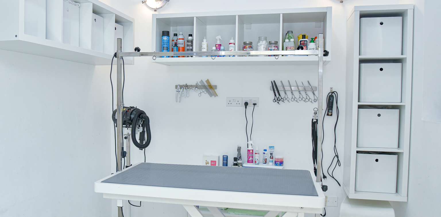 Advanced Pet Care Clinic - Comprehensive Veterinary and Pet Services in ...